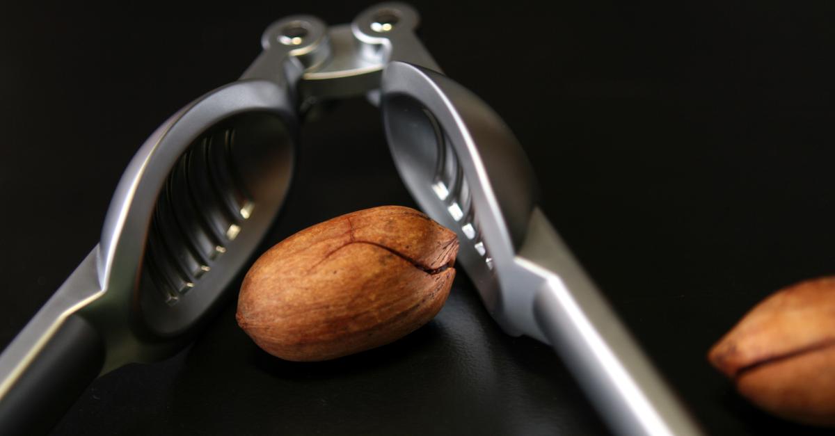 Transportation Route Optimization: One Tough Nut to Crack | NTT DATA